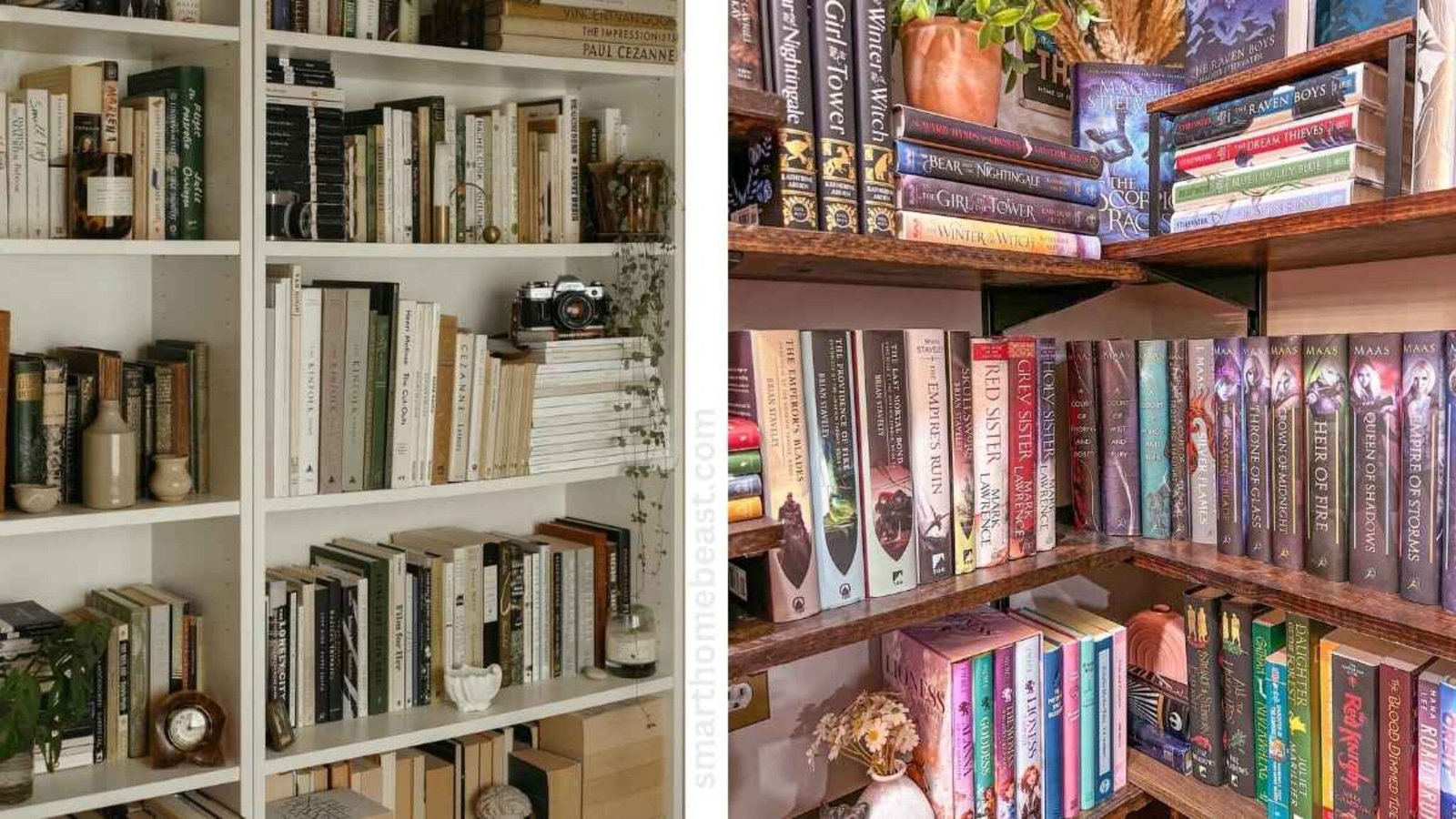 25+ Book Shelf Ideas That Make Your Books Pop