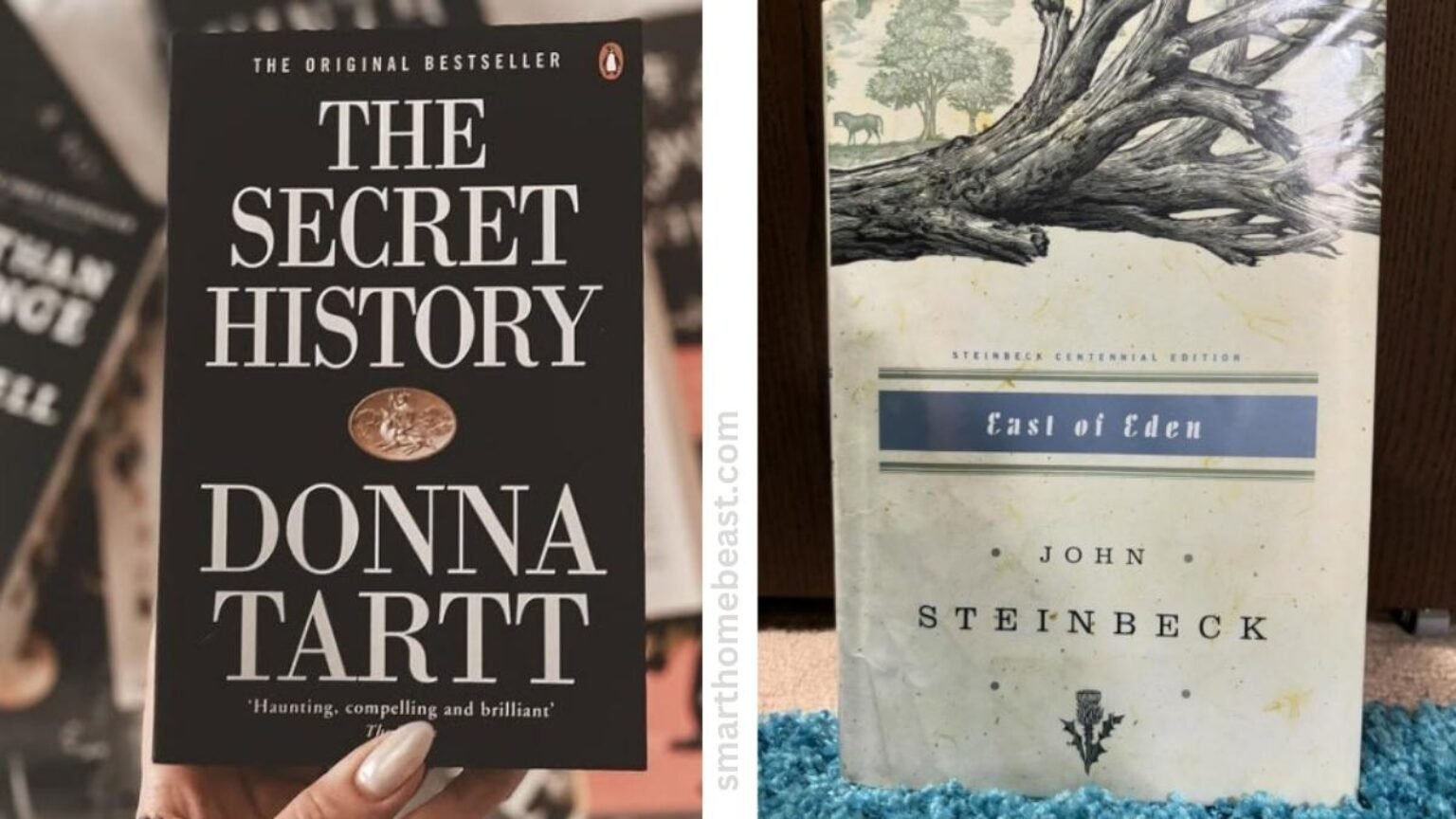 Books That Readers Wish They Could Experience Again for the First Time