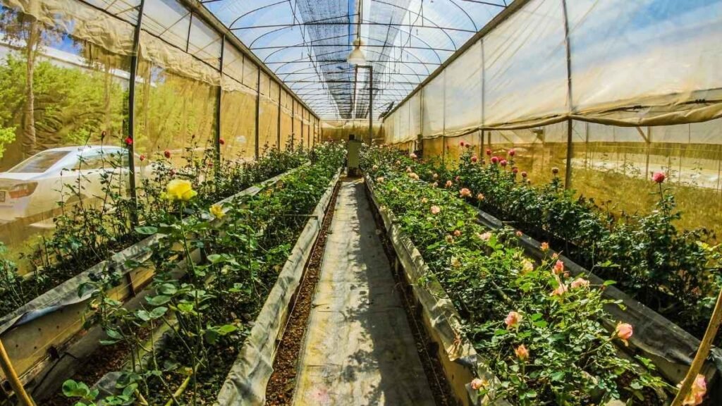 Why Your Smart Garden Failed (And the 1850s Farming Technique That ...